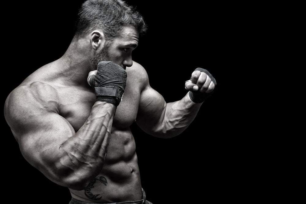 Scaling Your Diet with Training Intensity – A Practical Blueprint – One ...